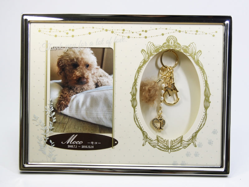 Petrap（ペトラップ） – 文宏堂オンラインストア